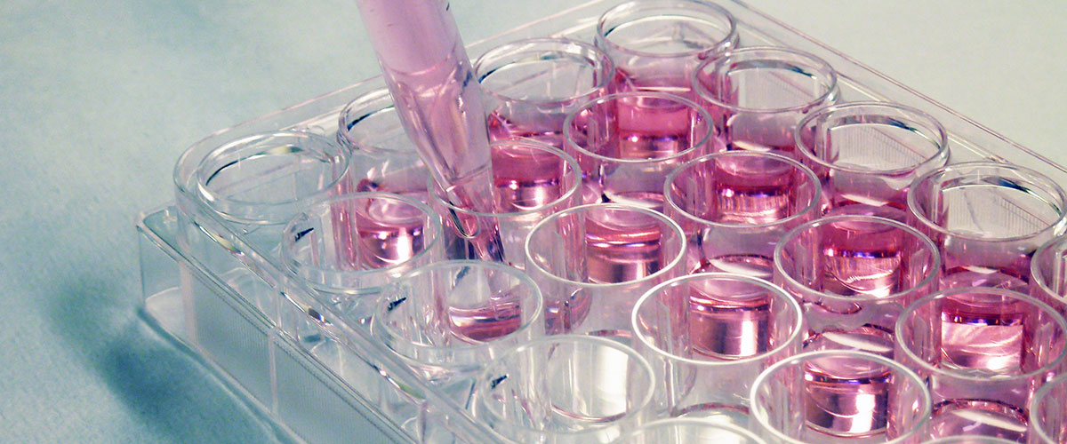 Toxicity testing - NILU